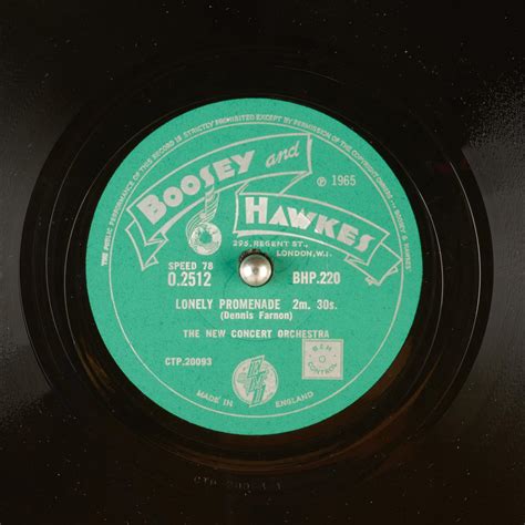 Lonely Promenade The New Concert Orchestra Free Download Borrow