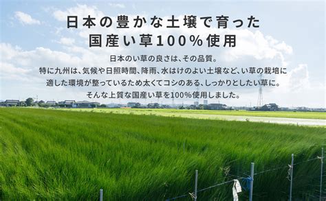 Amazon｜萩原 国産い草センターラグ 紋織 裏貼り付き 滑りにくい加工 『月光』 約261×261cm 抗菌 防臭 和モダン｜イ草・畳