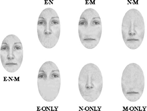 Example Of Face Memory Task Stimuli Female On The Left Is The Whole Download Scientific