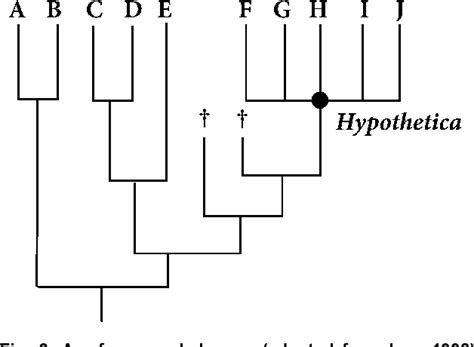 Figure 2 From Towards A Phylogenetic Nomenclature Of Tracheophyta