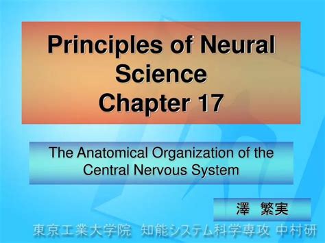 PPT Principles Of Neural Science Chapter 17 PowerPoint Presentation Free Download ID 970894