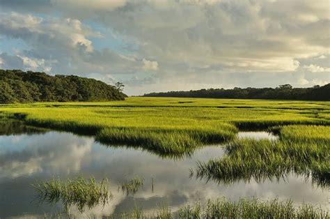 Salt Marsh Marine Wiki Fandom Landscape Photography Nature