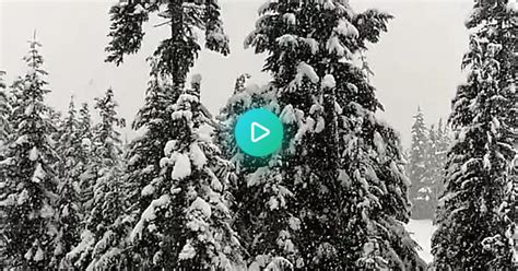 snowfall album on imgur