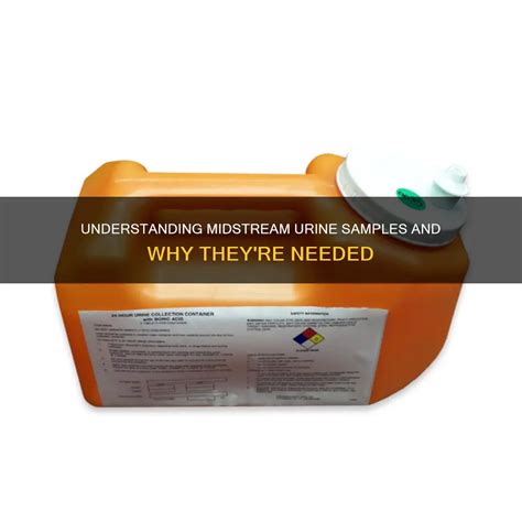 Understanding Midstream Urine Samples And Why Theyre Needed Medshun