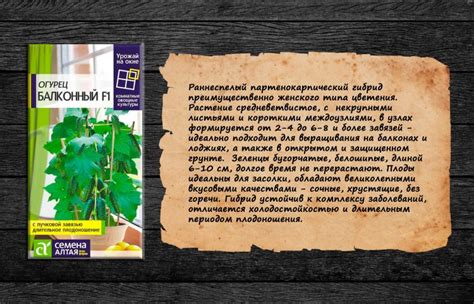 Огурец Балконный
