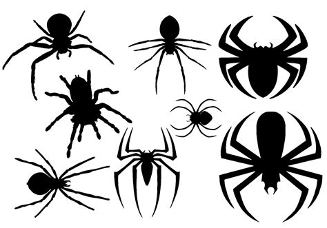 Spiderman Web Vector At Getdrawings Free Download
