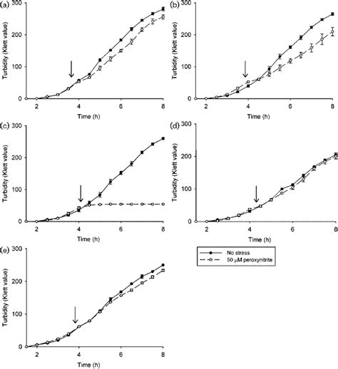 The Effect Of Peroxynitrite On Wild Type And Mutant S Typhimurium