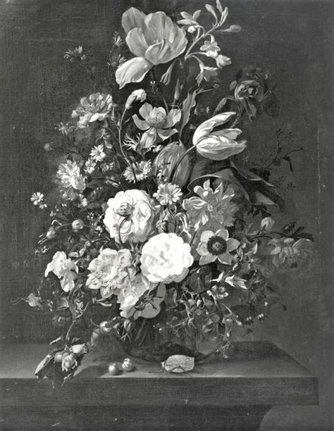 FONDAZIONE ZERI CATALOGHI ONLINE Liverani Giorgio Ruysch Rachel