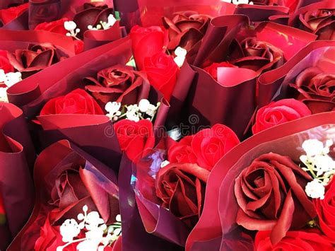 Fondo Con Rosas De Color Falso Imagen De Archivo Imagen De Floral Fondo Con Rosas De Color Falso Imagen De Archivo Imagen De Floral