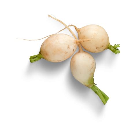 Rapa Bianca Boutique Contadina Cesena