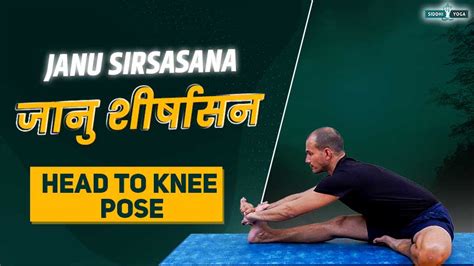 Benefits Of Janu Sirsasana Head To Knee Pose Siddhi Yoga
