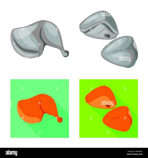 Vector Vectors Stock Vector Image And Art Alamy