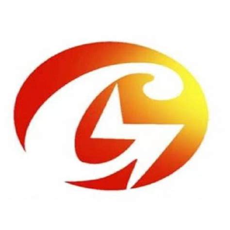 GY BLQ避雷器直流参数测试仪 武汉恒新国仪科技 测量 电压 自动