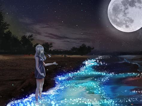 Alone Girl Watch Beautiful Sea Flash In Moon Night Hd Wallpaper Download