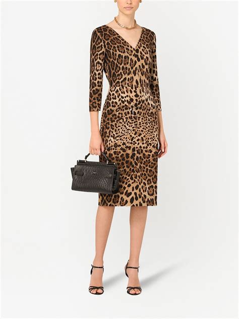 Dolce And Gabbana Leopard Print Cady Midi Dress In Multicolor Modesens