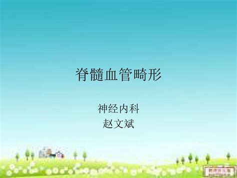 脊髓血管畸形word文档免费下载亿佰文档网