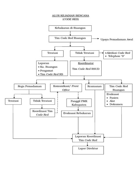 Alur Kejadian Bencana Code Red Revisi Pdf