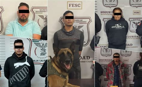 Detienen A 11 Personas En Posesión De Drogas En Baja California