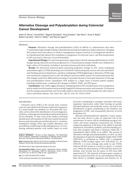 Pdf Alternative Cleavage And Polyadenylation During Colorectal Cancer