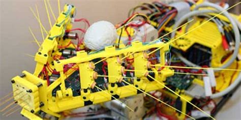 This Is Why Your First Robot Butler Will Probably Have Whiskers