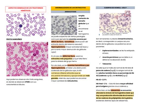 Anemias Sangre Aspectos Generales De Los Trastornos HemÁticos Frotis SanguÍneo Aquí Podemos