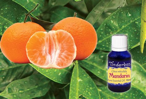 Mandarin Essential Oil Tinderbox