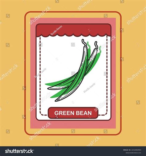 Flashcard Green Bean Vector Cartoon Cute Stock Vector Royalty Free