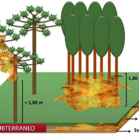 Classificação Dos Incêndios Florestais Download Scientific Diagram