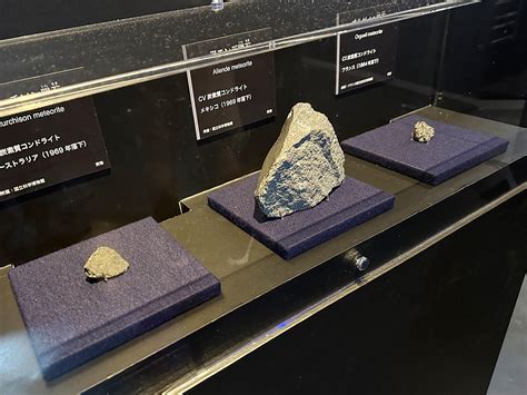 特別展「海 ―生命のみなもと―」 レポート アイエム インターネットミュージアム