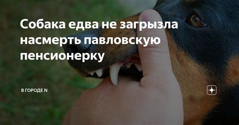 Собака едва не загрызла насмерть павловскую пенсионерку В городе N Дзен