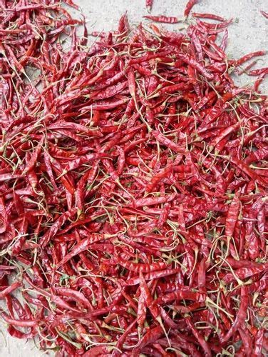 Teja Medium Best Dry Red Chilli At Rs 220kg Teja Red Chilli In New