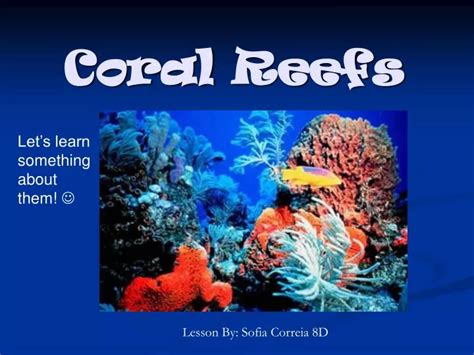 Ppt Coral Reefs Powerpoint Presentation Id2808777