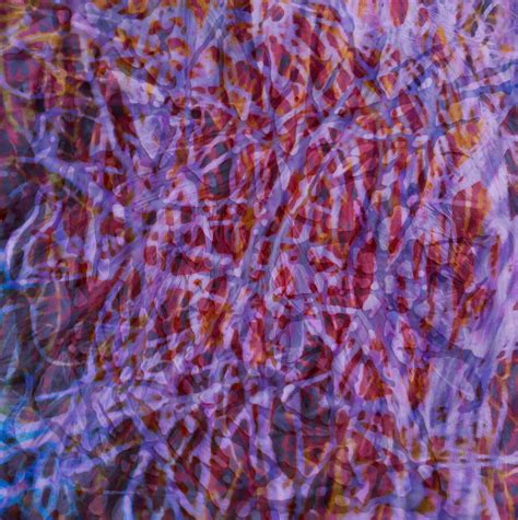 Quarks And Leptons 5 String Theory Digital Art By Curtis Stoesz Fine