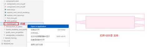 vscode 环境配置及测试运行 luceda photonics