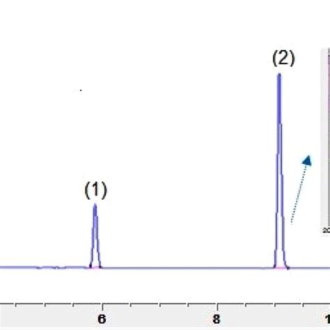 Electropherogram Of Standard Mixture Of Is Peak 1 30 μgml And