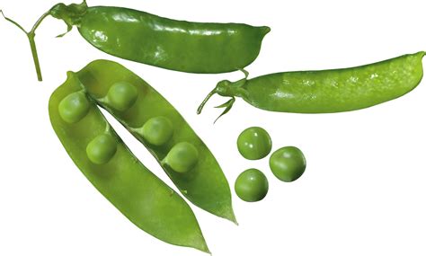 Pea Png