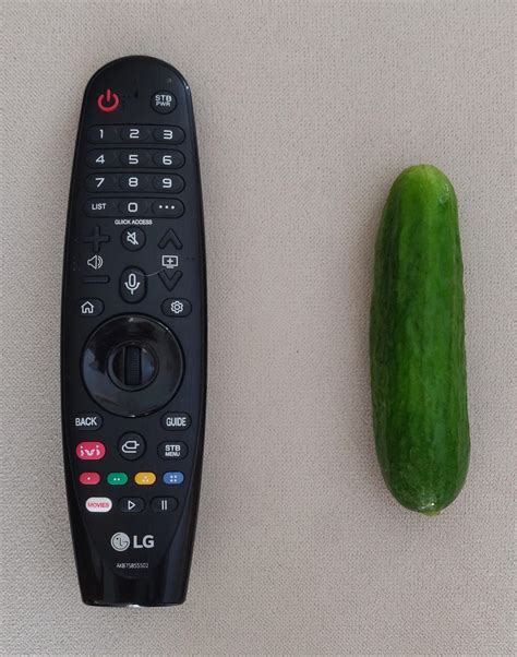 My Wife Asked Me To Buy Medium Sized Cucumbers This Is What I Bought