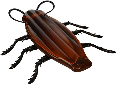A Giant Inflatable Cockroach Pool Float