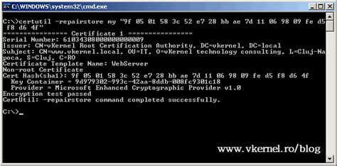 Install Certificate In Iis 6 0 After Deleting The Pending Certificate