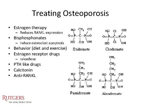 Lecture 49 Bone Physiology Resorption And Formation Pat
