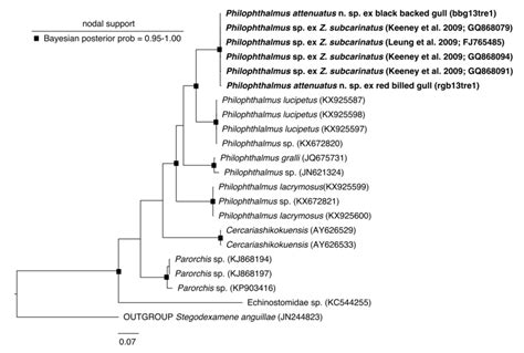 Bayesian Majority Rule Inference For The Cox Gene Dataset The