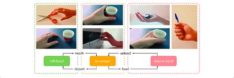 Representation From The Object Perspective Of The Hand Object Download Scientific Diagram