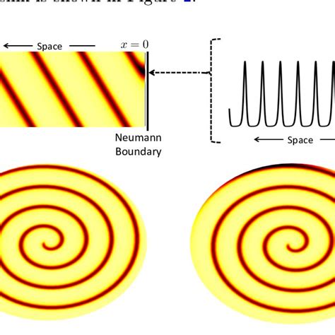 A Illustration Of A Boundary Sink The Effect Of Neumann Boundary