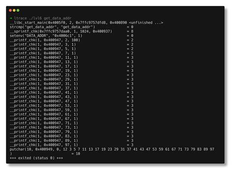 Ctf Challenge Walkthrough From Practical Binary Analysis K4n3ki