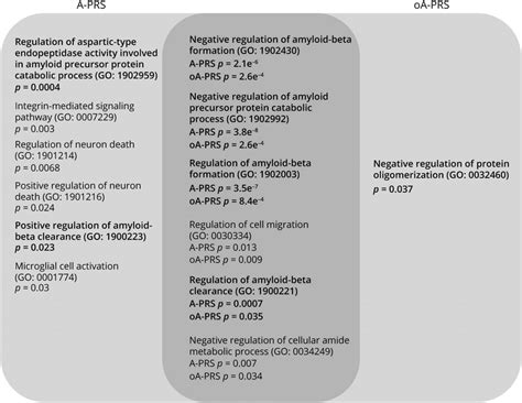 overlap between enriched go biological processes in the a prs and oa