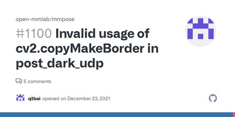 Invalid Usage Of Cv Copymakeborder In Post Dark Udp Issue