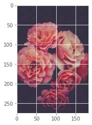 Matplotlib Exercises
