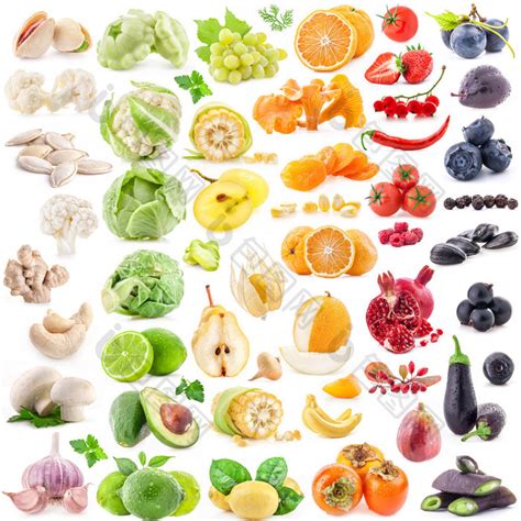 水果和蔬菜的采集 包图企业站