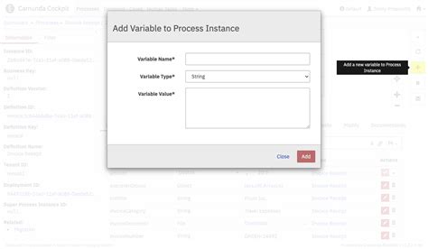 Process Instance View