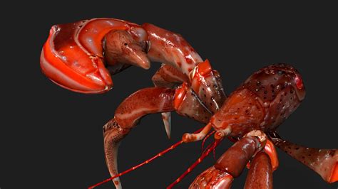 Crab A1 Animated 3d Model By Animated3d